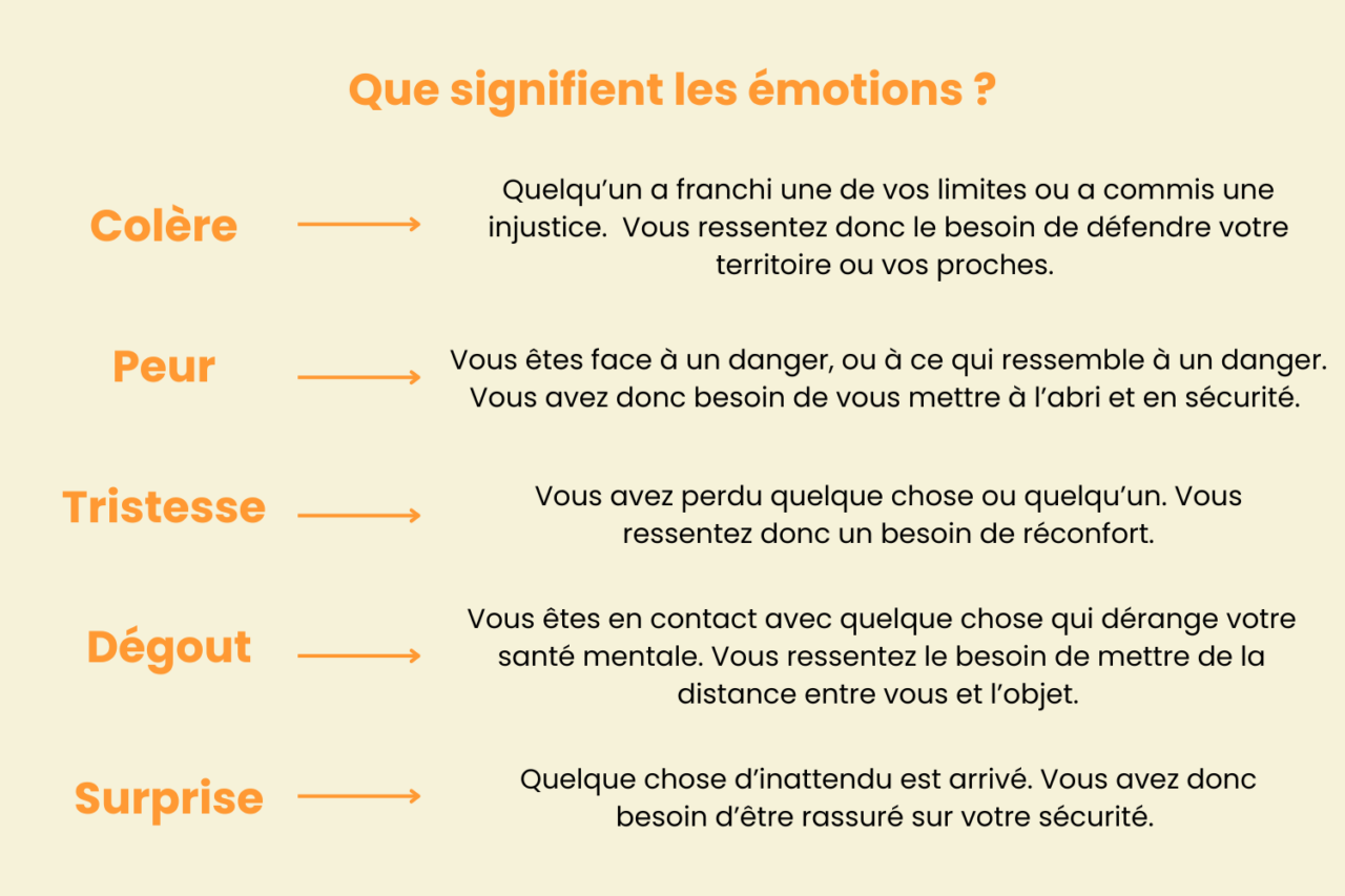 7 étapes pour apprendre à gérer ses émotions